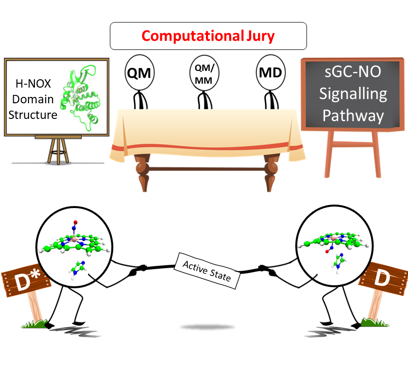 The Mechanism of Biochemical NO‐Sensing: Insights from Computational Chemistry - Neil R. McFarlane